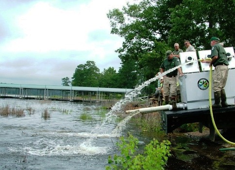 Turcotte Fish Hatchery | Mississippi Department of Wildlife, Fisheries ...
