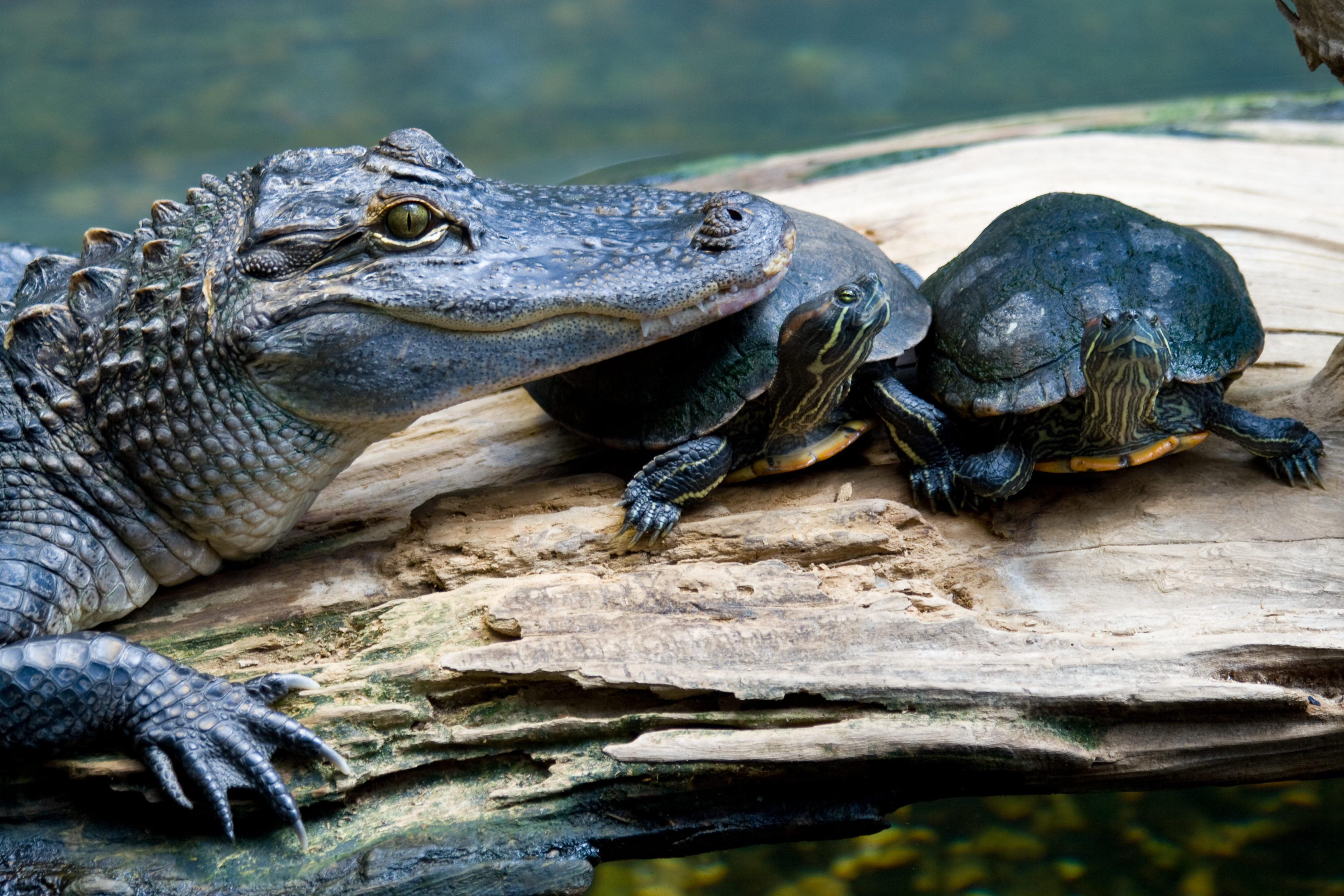 Group Tours | Mississippi Department of Wildlife, Fisheries, and Parks