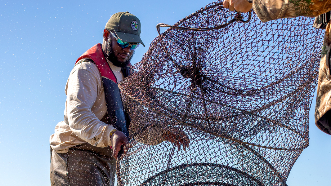 Freshwater Commercial Fishing | Mississippi Department of Wildlife ...