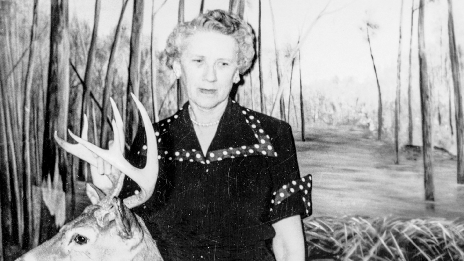 Fannye Cook: The Museum's First Director | Mississippi Department of ...