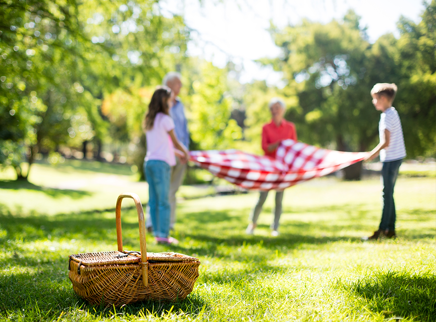 Picnicking | Mississippi Department of Wildlife, Fisheries, and Parks