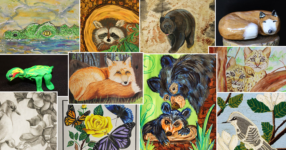 Youth Art Contests | Mississippi Department of Wildlife, Fisheries, and ...