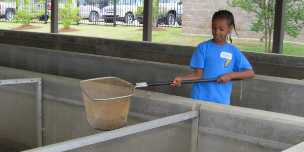 Dive Deeper | Mississippi Department of Wildlife, Fisheries, and Parks