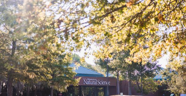 Museum of Natural Science | Mississippi Department of Wildlife ...