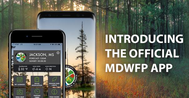 Deer & Turkey Game Check | Mississippi Department of Wildlife ...