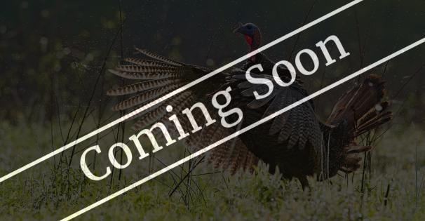 Licenses & Permits | Mississippi Department of Wildlife, Fisheries, and ...