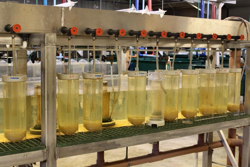 Bob Tyler Fish Hatchery | Mississippi Department of Wildlife, Fisheries ...